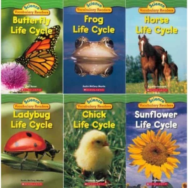 Everything You Need To Teach The Butterfly Life Cycle For Kids - Home ...