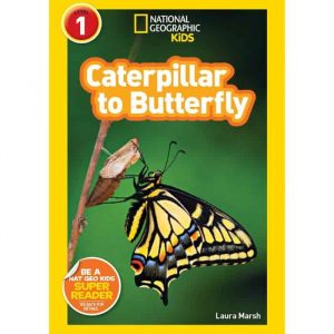 Everything You Need To Teach The Butterfly Life Cycle For Kids - Home ...
