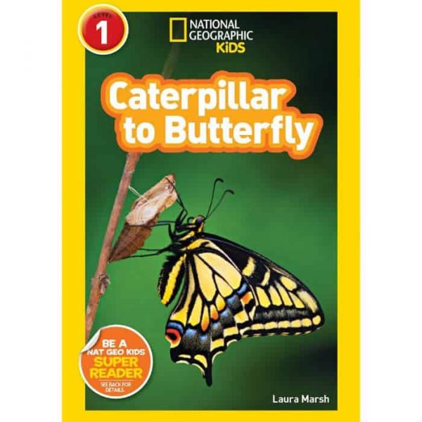 Everything You Need To Teach The Butterfly Life Cycle For Kids - Home ...