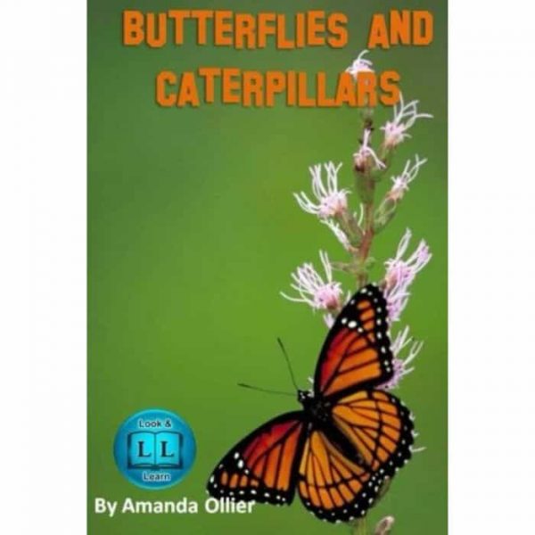 Everything You Need To Teach The Butterfly Life Cycle For Kids - Home ...