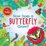 Everything You Need To Teach The Butterfly Life Cycle For Kids - Home ...